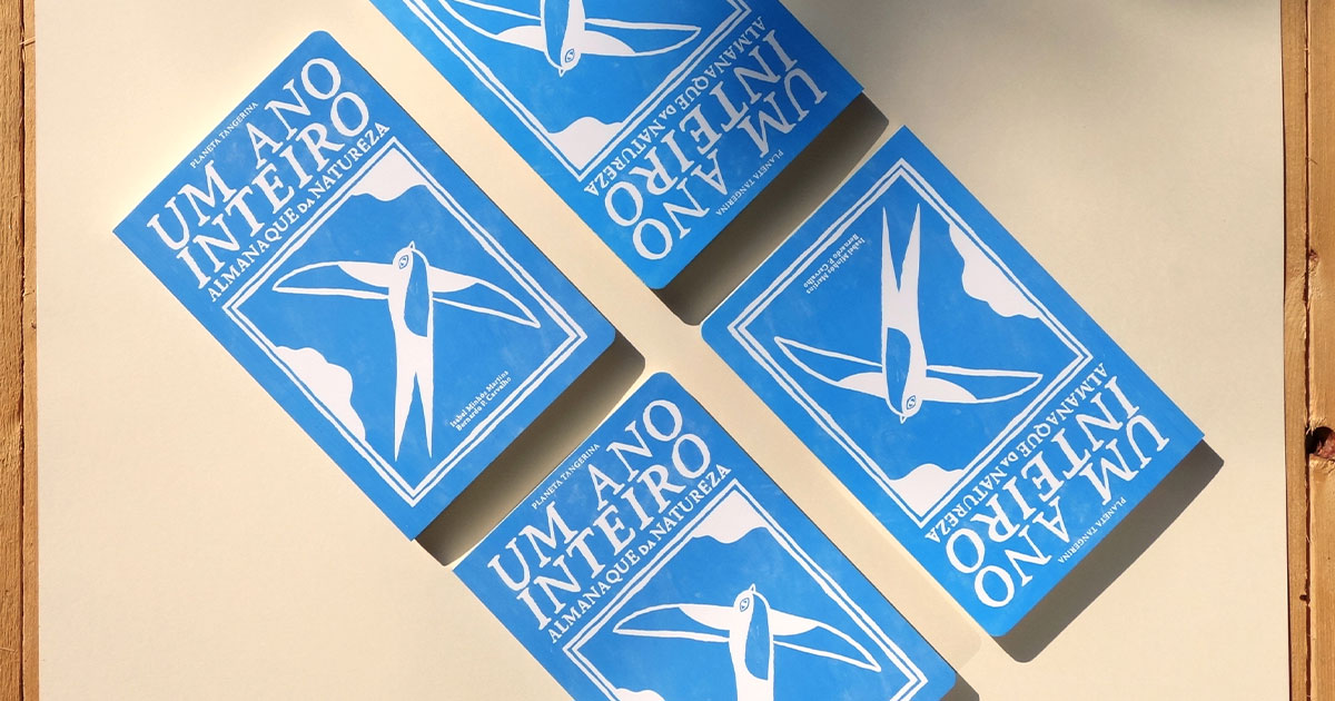 Um ano inteiro - Livros, Projetos Especiais - Loja online do Planeta ...